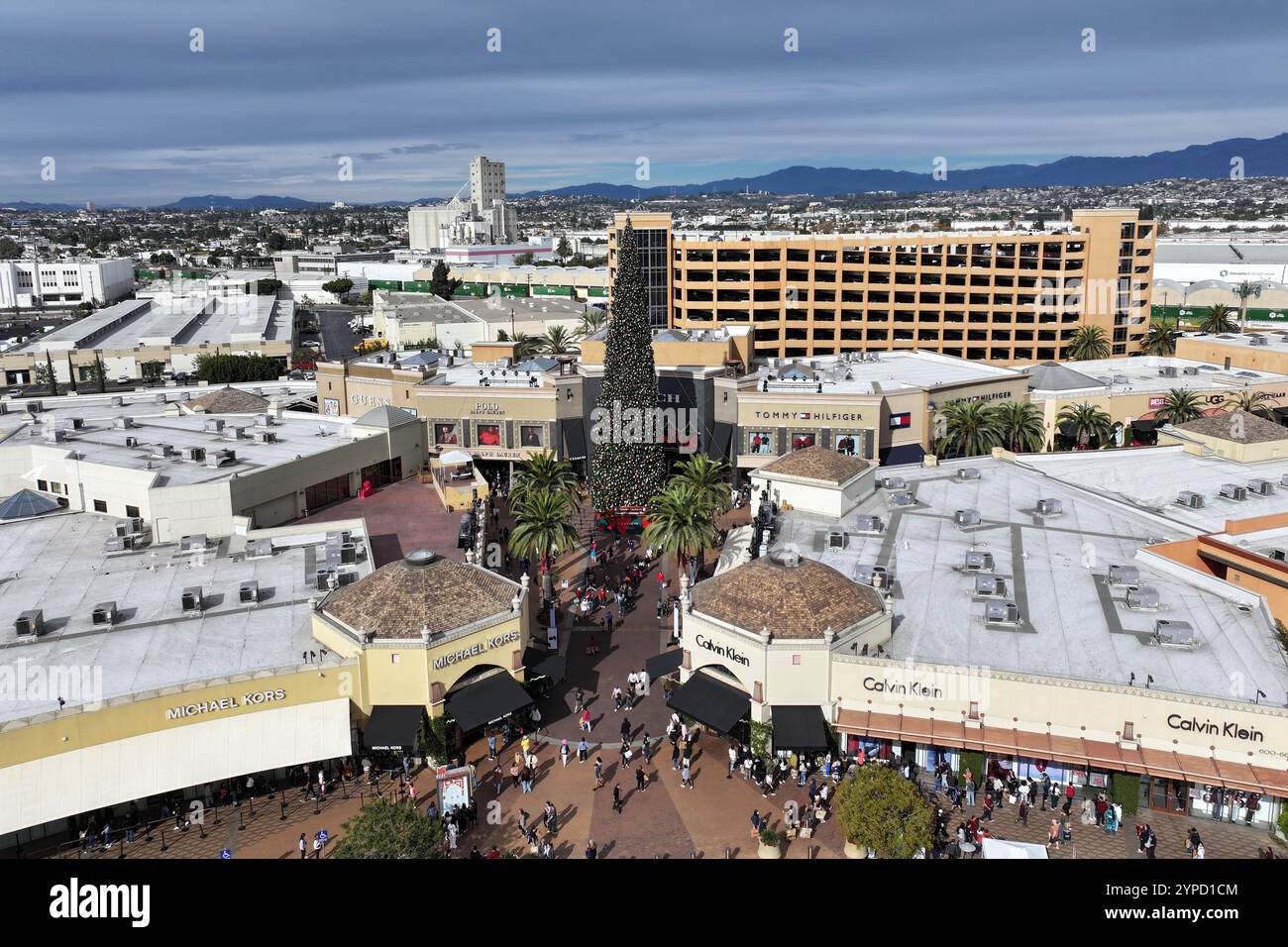 The "World's tallest fresh-cut Christmas Tree," a 115-foot white fir ...