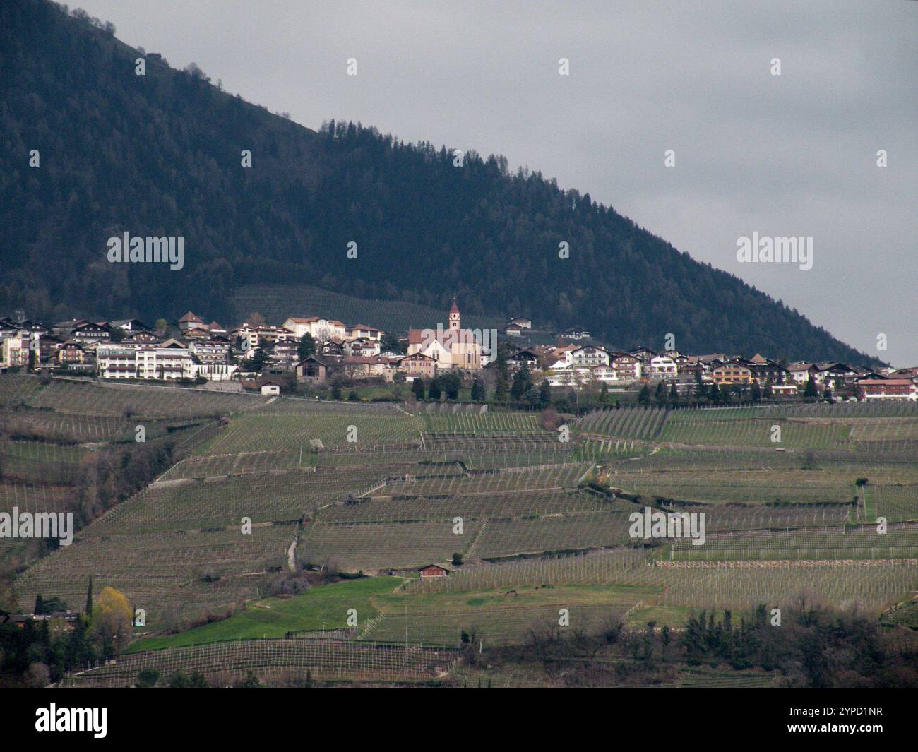 Tirolo-Dorf Tirol, Merano, Bolzano, South Tyrol, Italy, Europe Stock ...