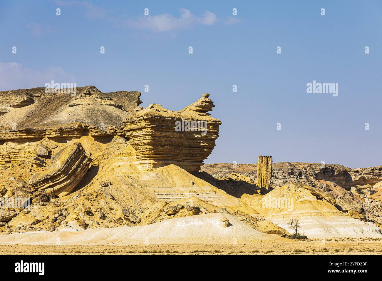 Eroded rock formations on a fossilised reef edge, Huqf stone desert ...