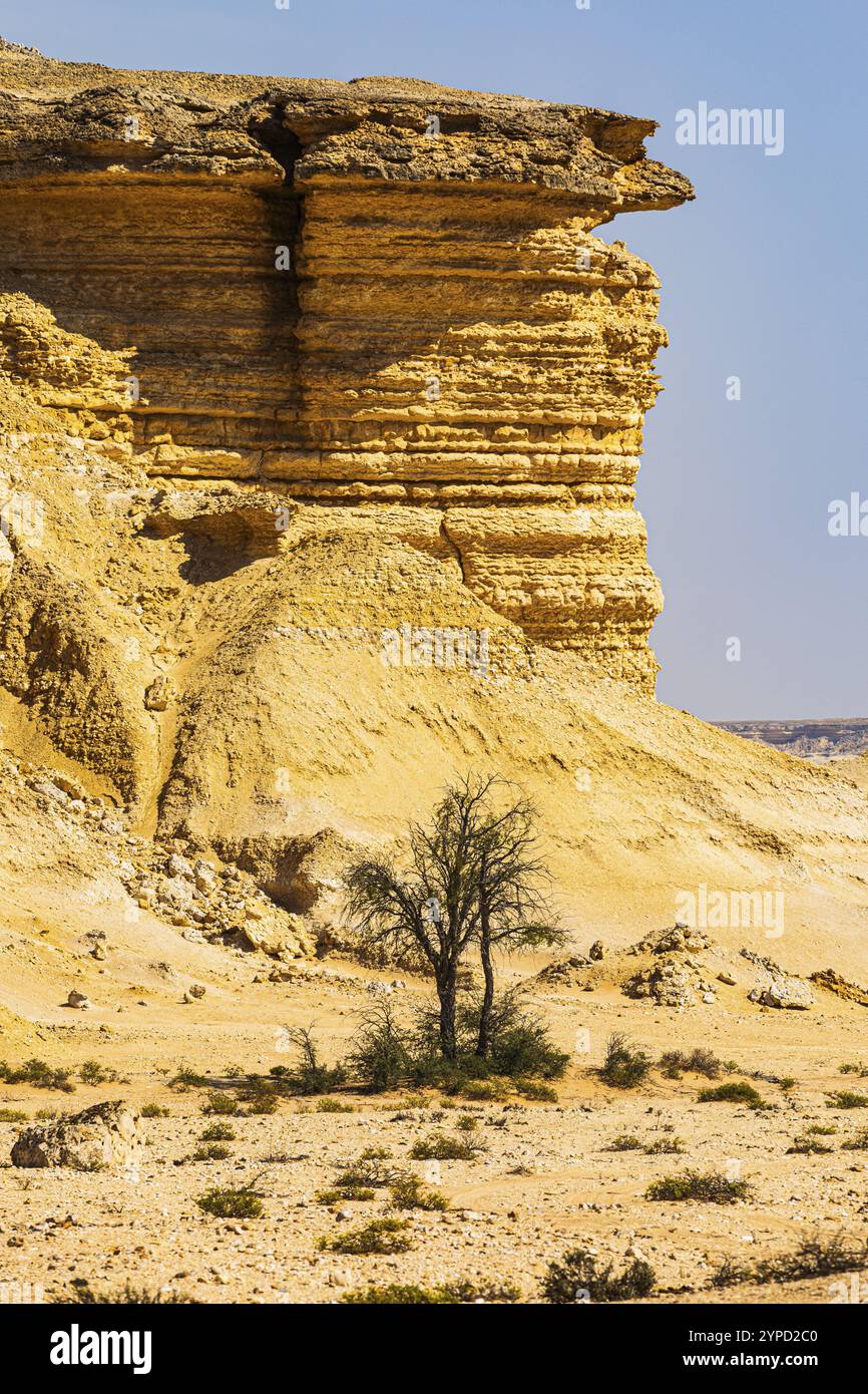 Arabian peninsula desert landscape hi-res stock photography and images ...