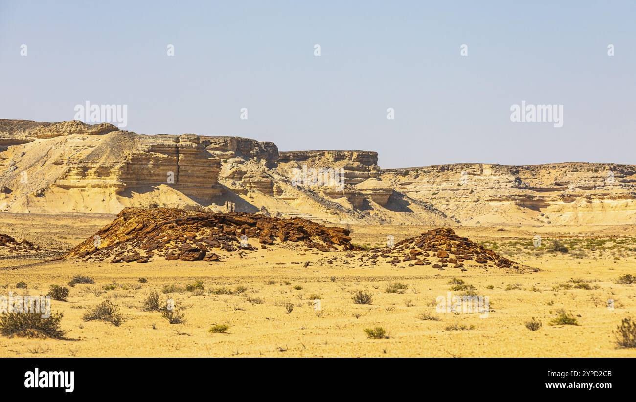 Eroded rock landscape at a fossilised reef edge, Huqf stone desert ...