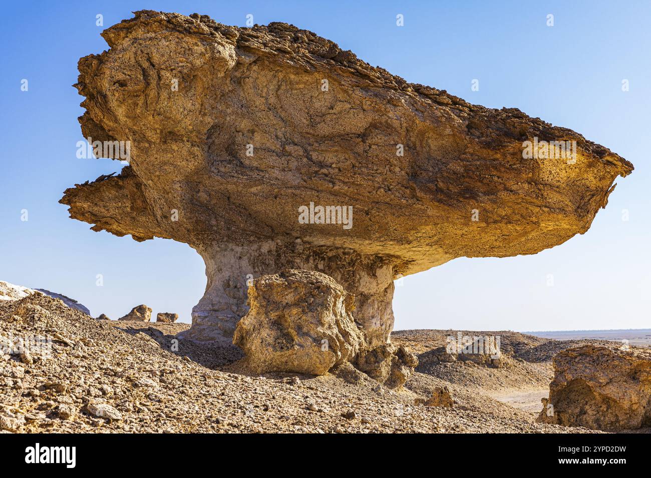 Mushroom-shaped rock formations in the Huqf stone desert, Arabian ...