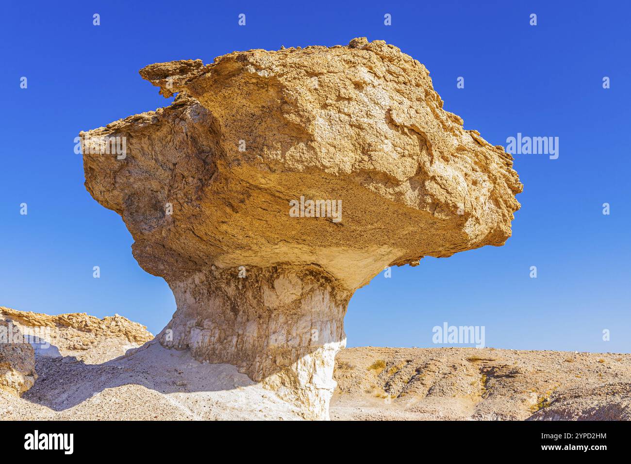Mushroom-shaped rock formations in the Huqf stone desert, Arabian ...