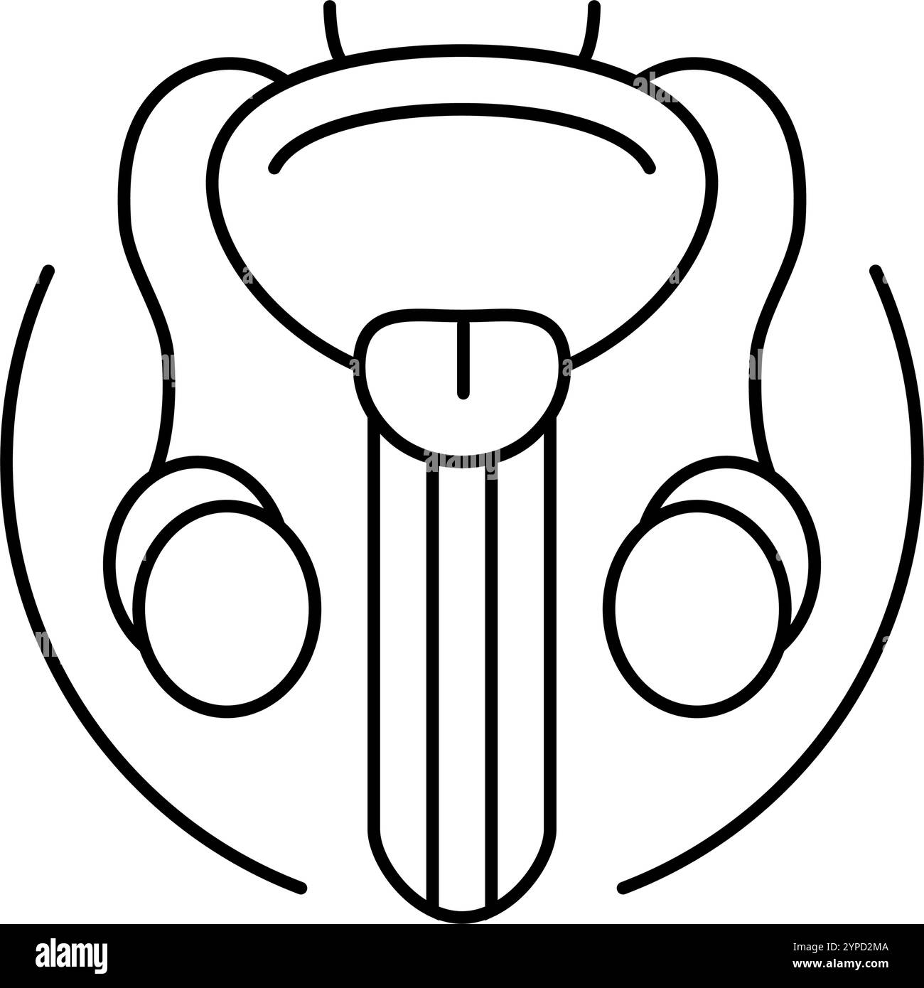 Urethral Stricture Urology Line Icon Vector Illustration Stock Vector