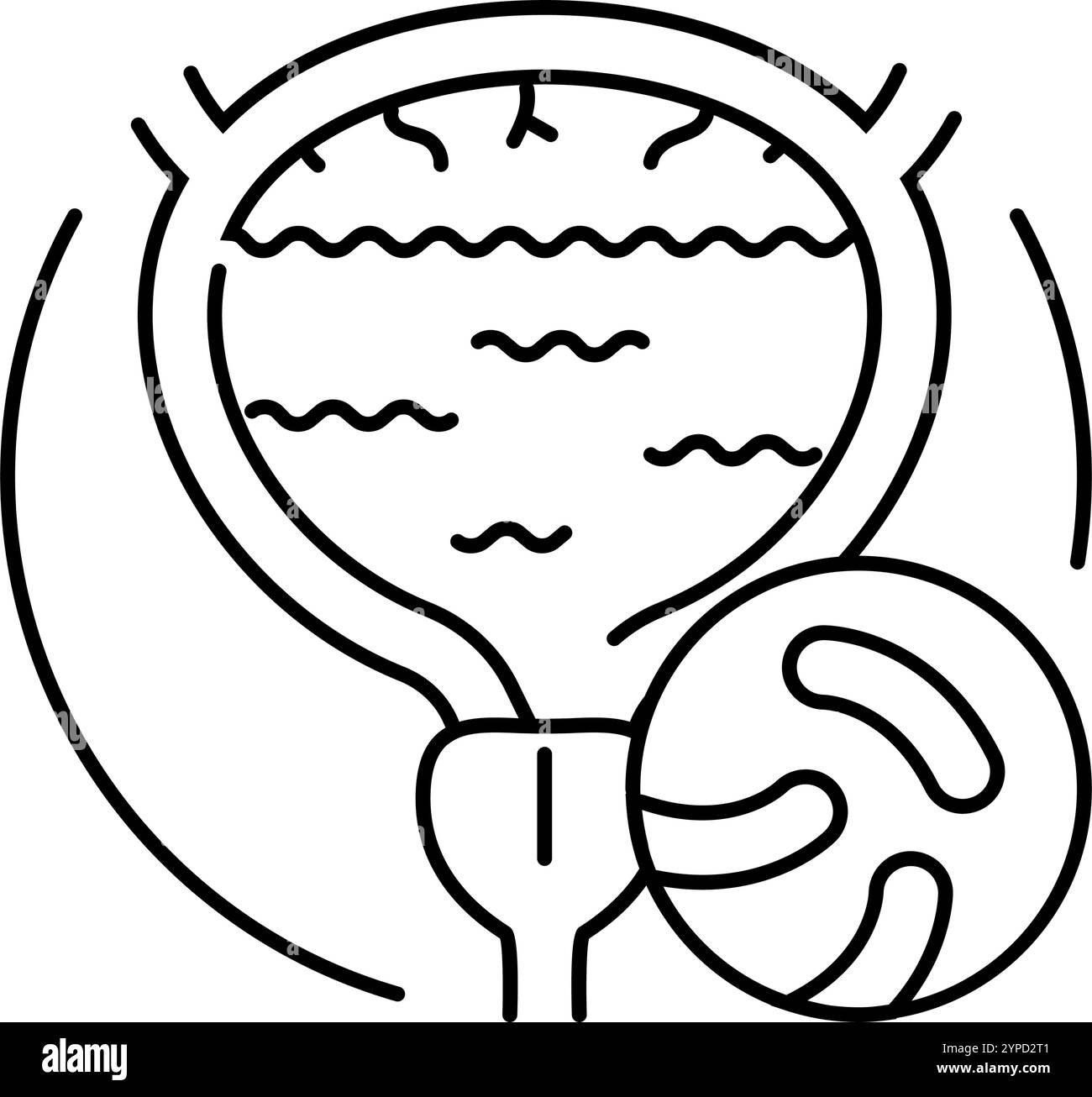 Urinary tract infection uti Stock Vector Images - Alamy