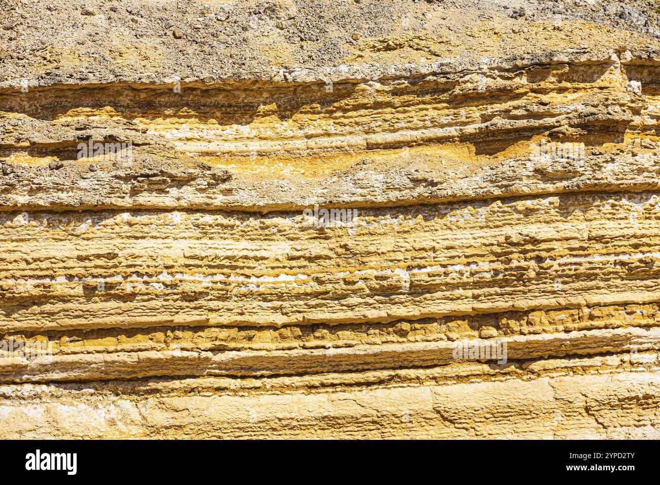 Eroded rock landscape at a fossilised reef edge, Huqf stone desert ...
