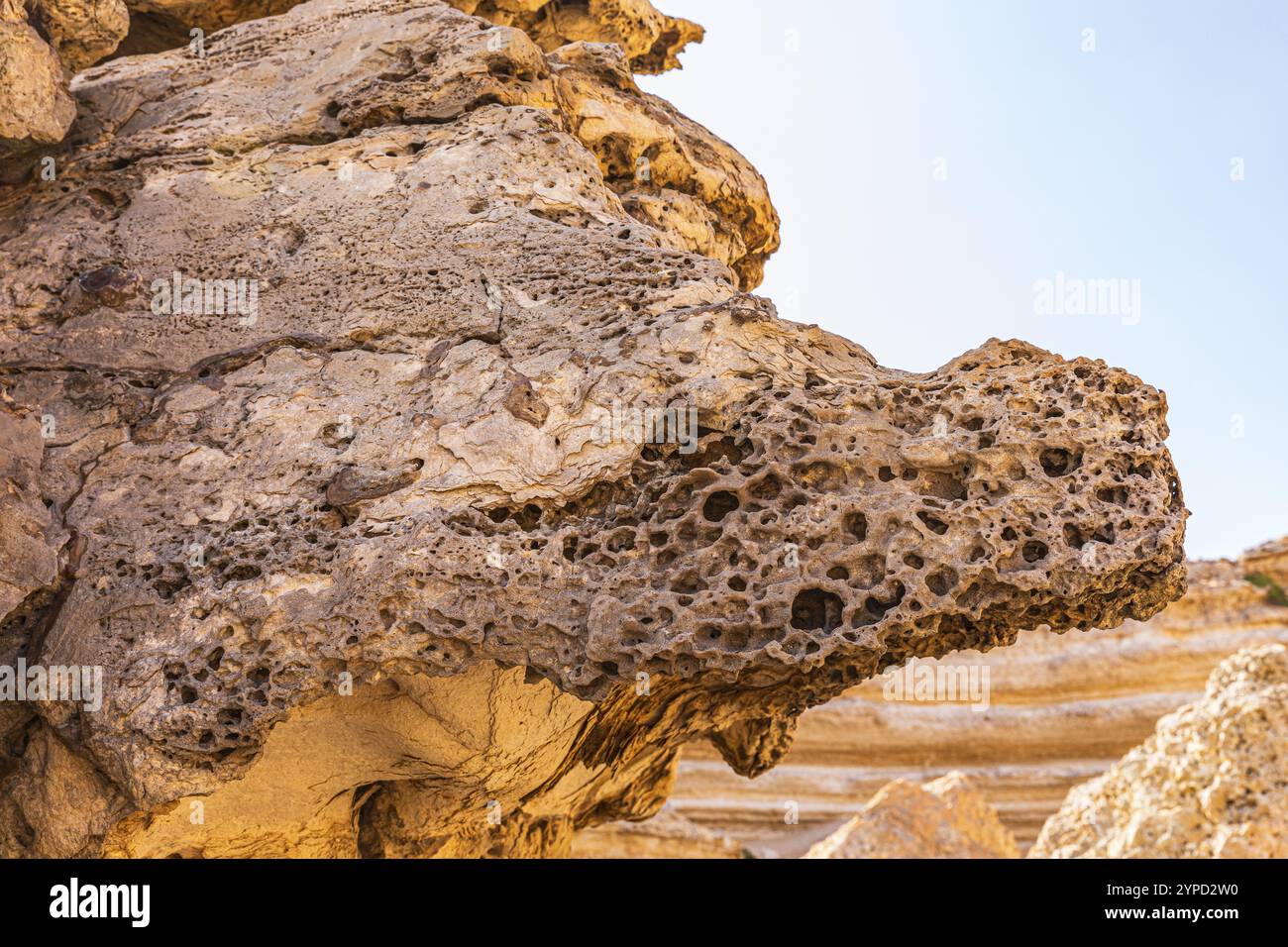 Eroded rock on a fossilised reef edge, Huqf stone desert, Arabian ...