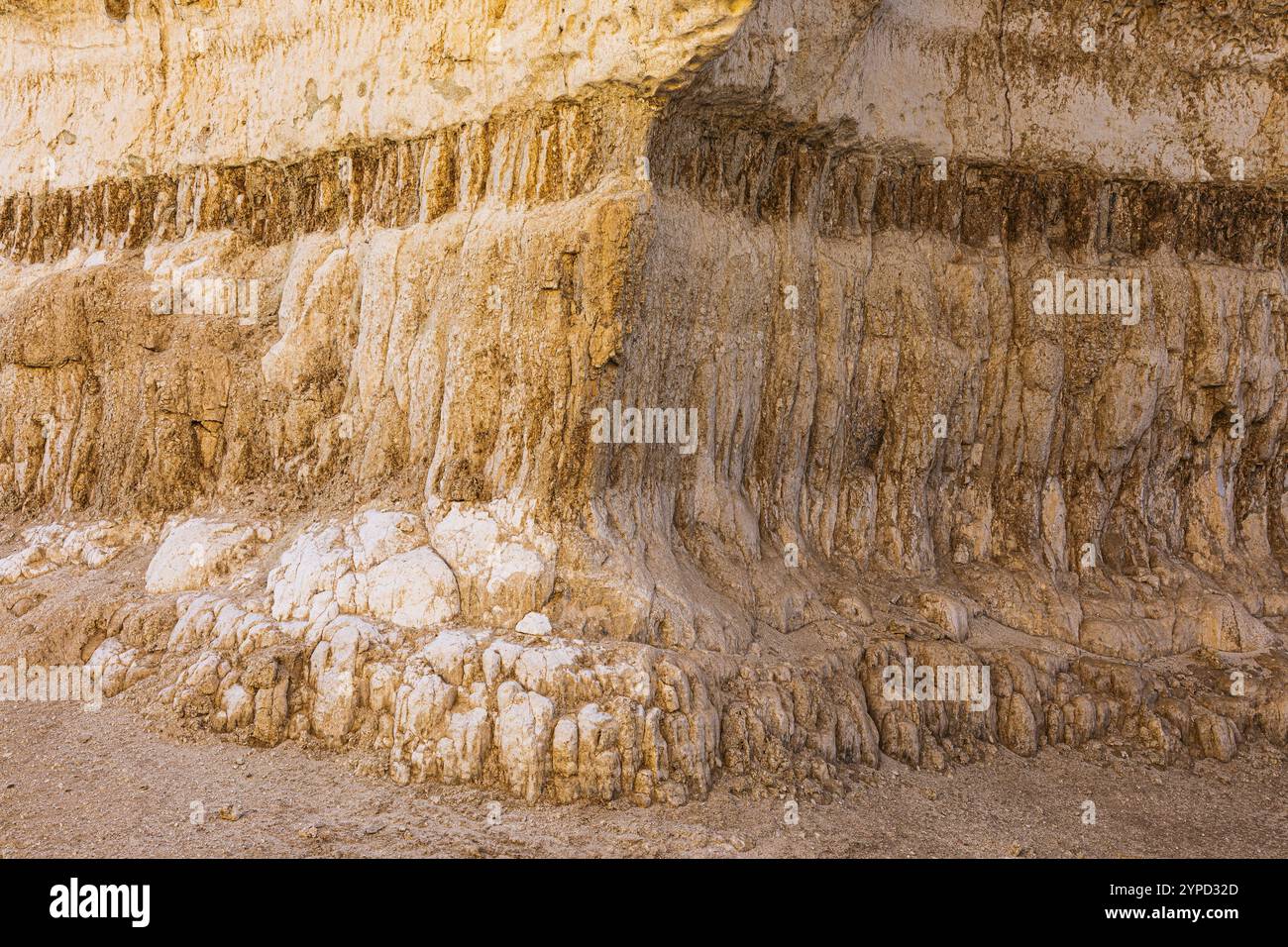 Eroded rock formations on a fossilised reef edge, Huqf stone desert ...