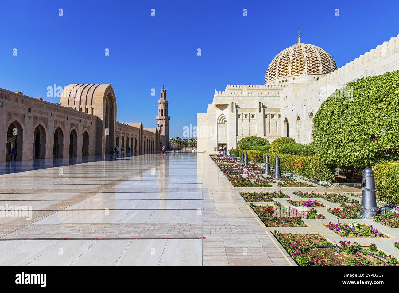 Sacral wing hi-res stock photography and images - Alamy