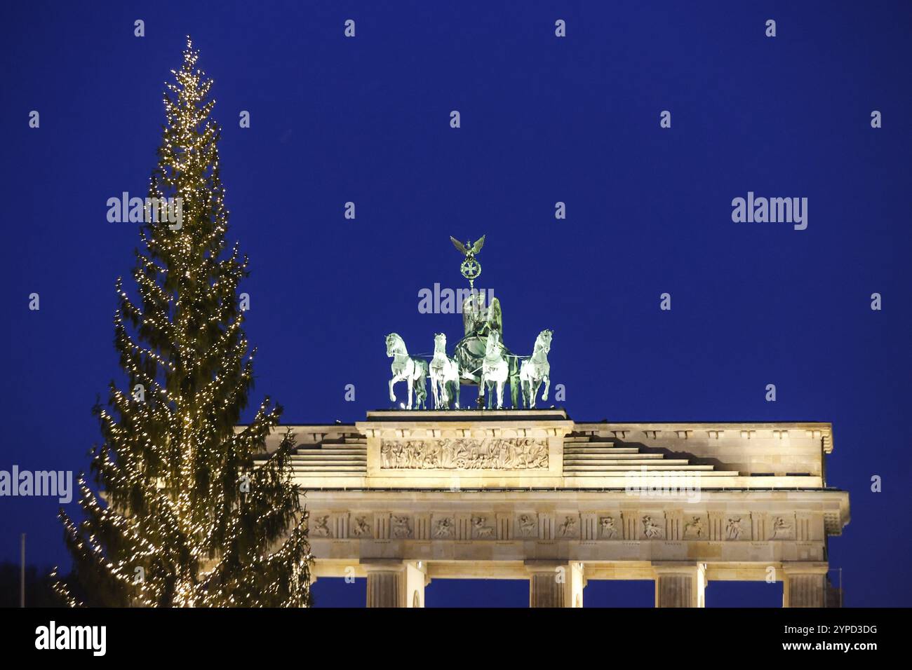 This year's Christmas tree is already almost fully decorated at the ...