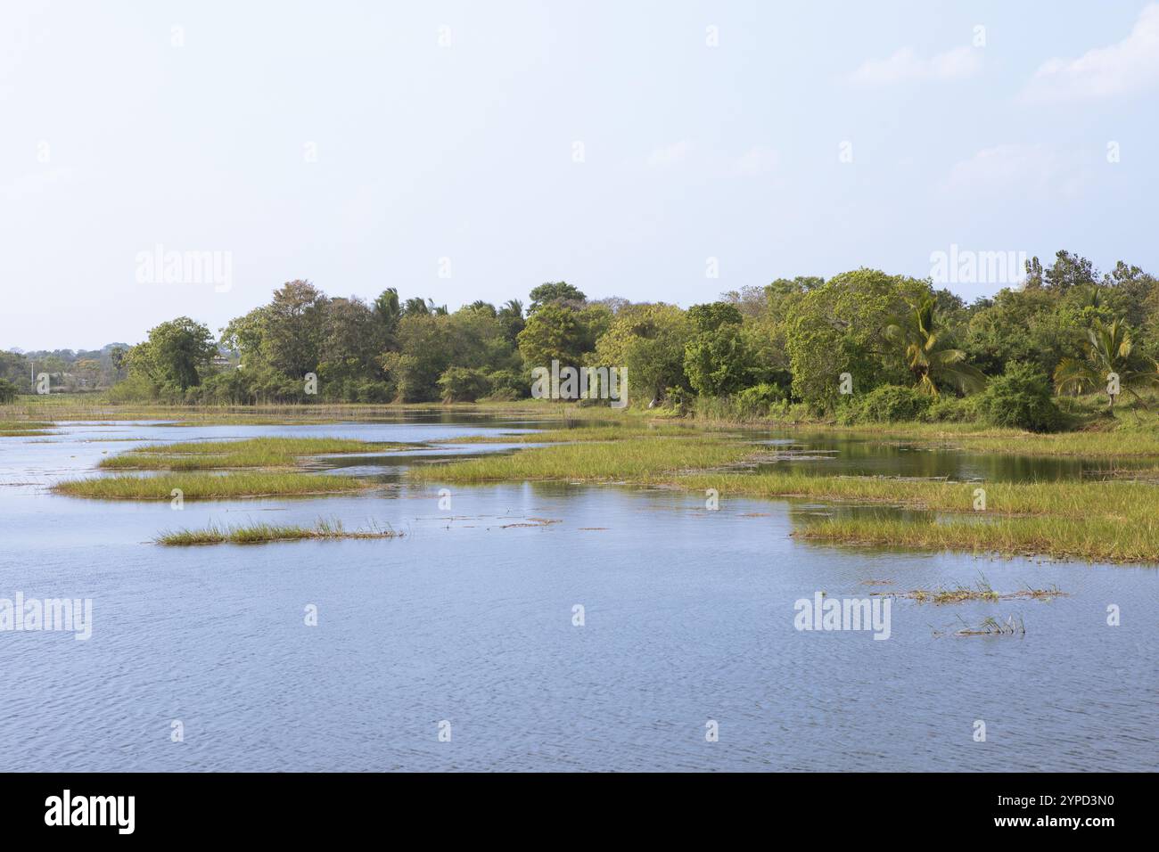 The uva province hi-res stock photography and images - Alamy