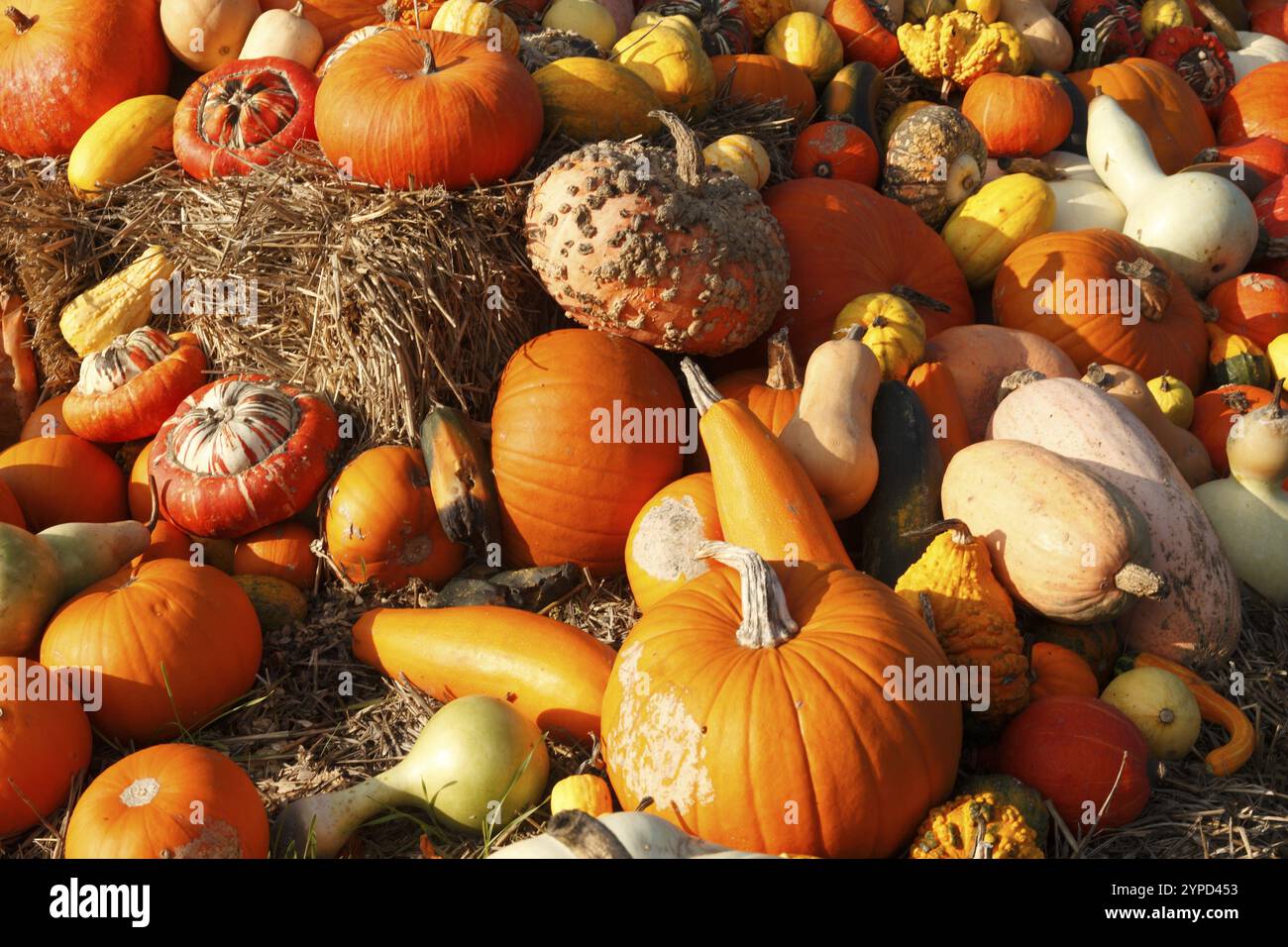 Stall selling various types hi-res stock photography and images - Alamy