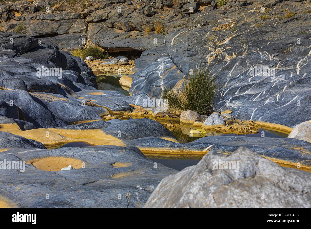 Waterhole in the Wadi Dam, near the town of Al Ayn, Arabian Peninsula ...