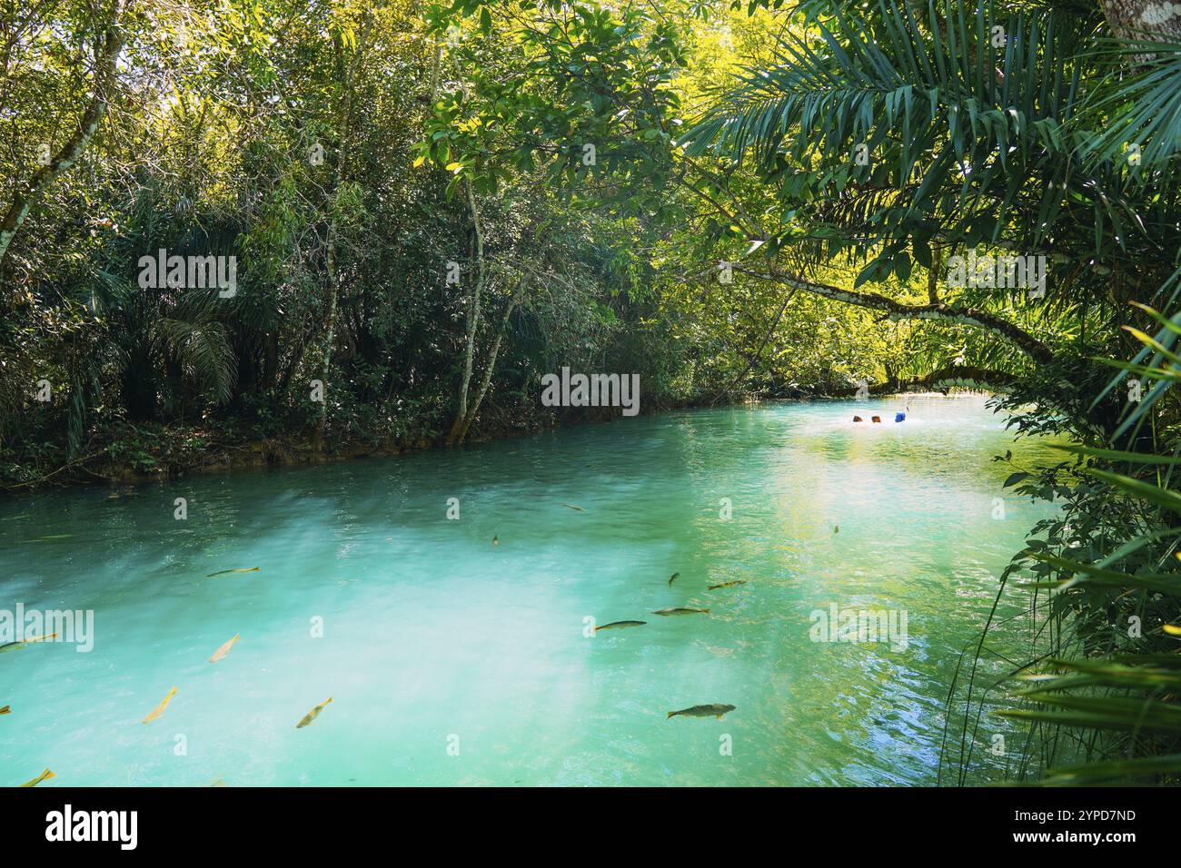 March 21, 2024, Brazil. Rio Formoso, in the city of Bonito, in Mato ...