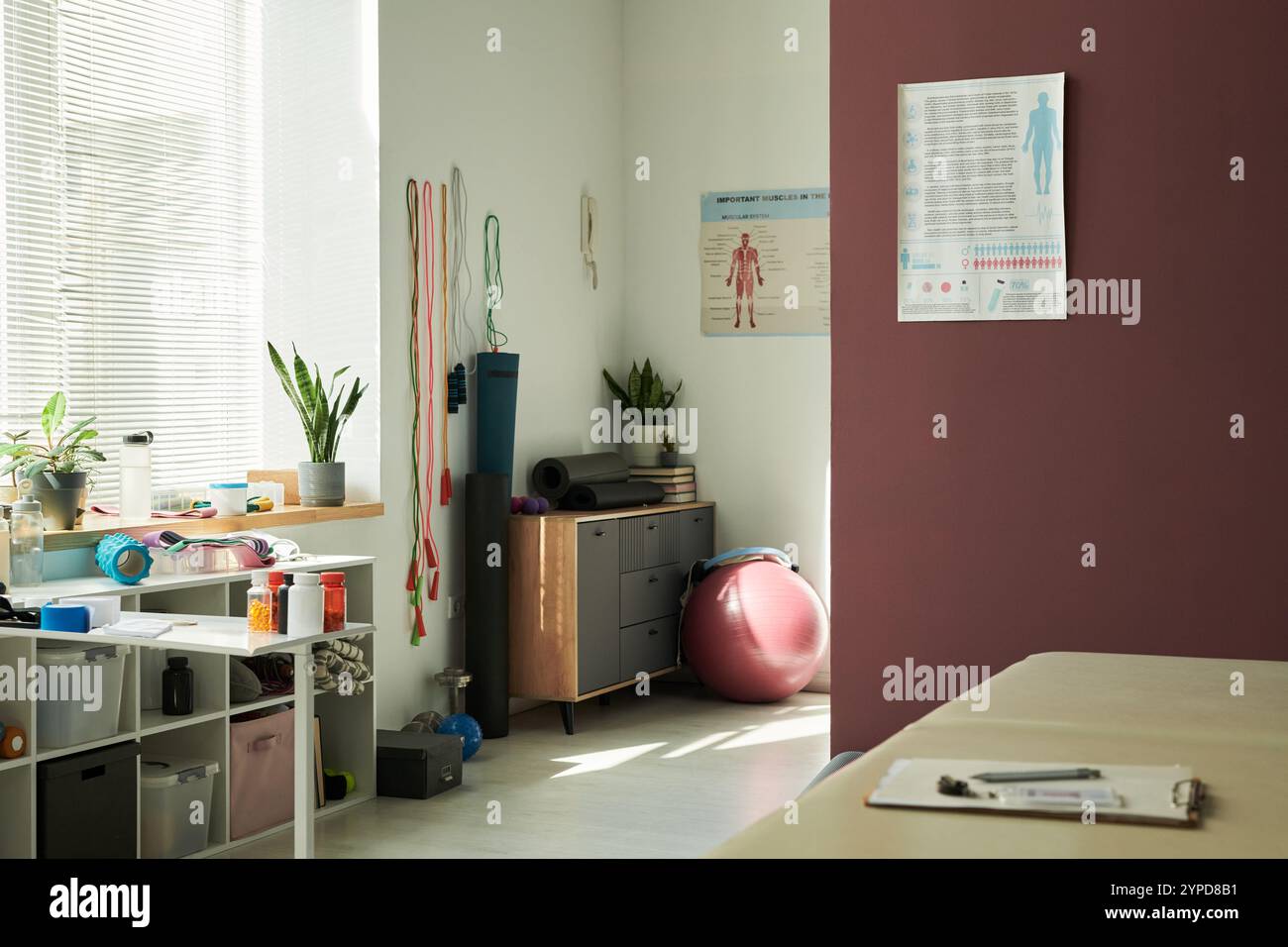 Spacious physical therapy room filled with various exercise equipment ...