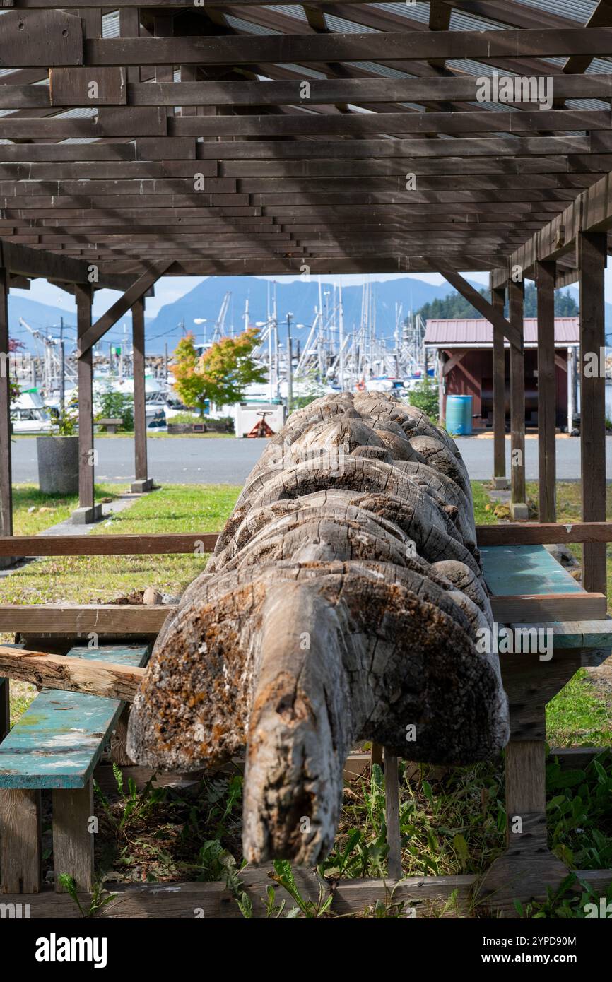 Tsimshian hi-res stock photography and images - Alamy