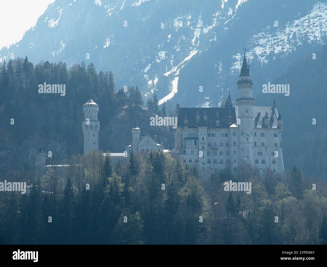 Neuschwanstein castle, Schwangau, Bavaria, Germany, Europe Stock Photo ...