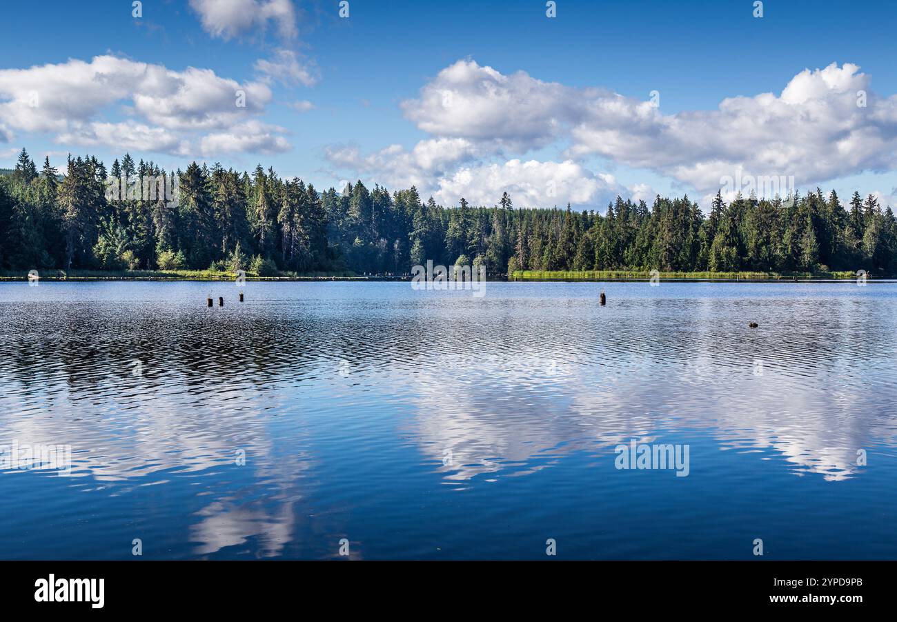 Looking across Kapowsin Lake in Pierce County Washington Stock Photo ...