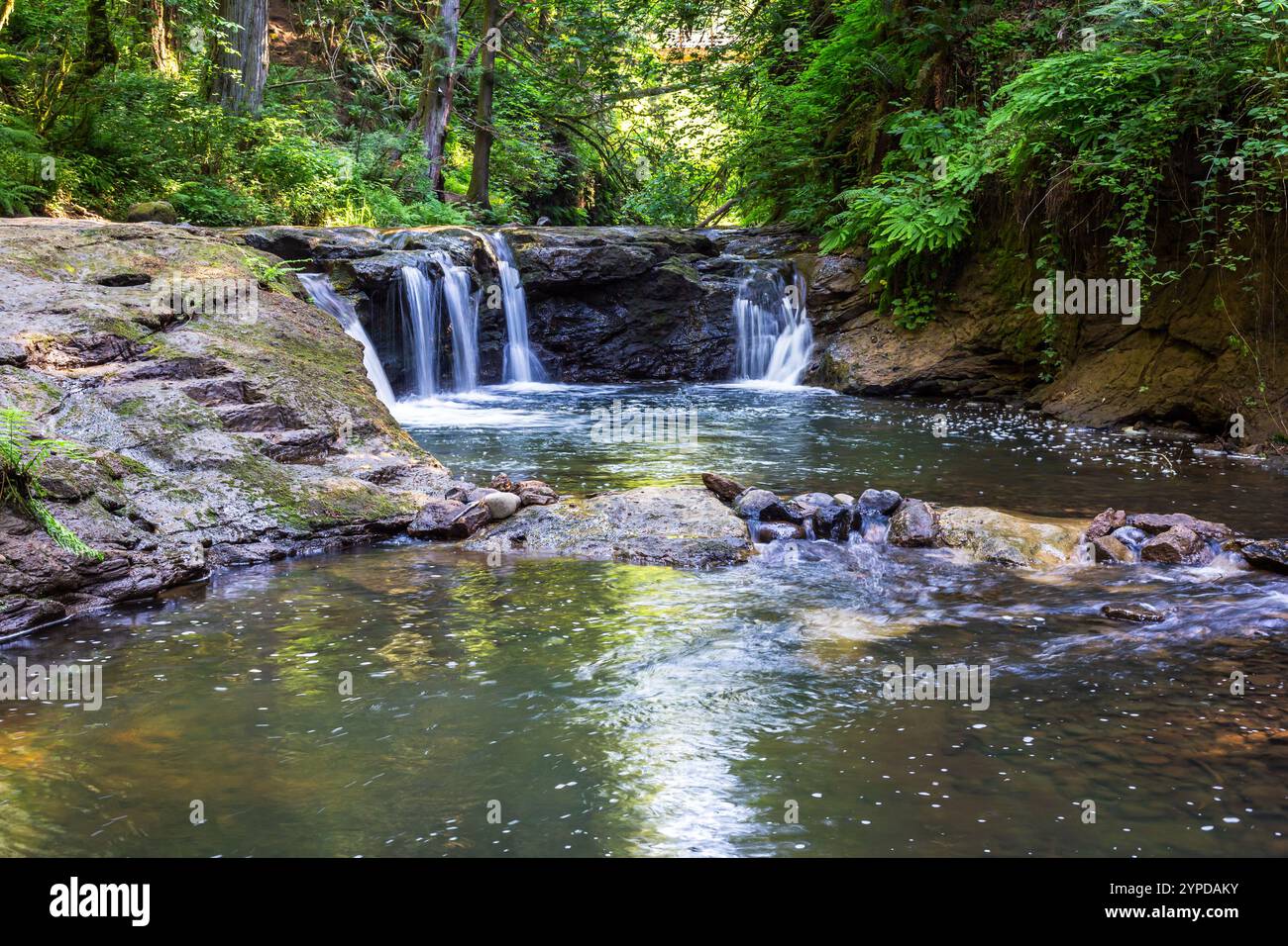 Small waterfall downstream from Hidden Falls in Happy Valley, Oregon ...