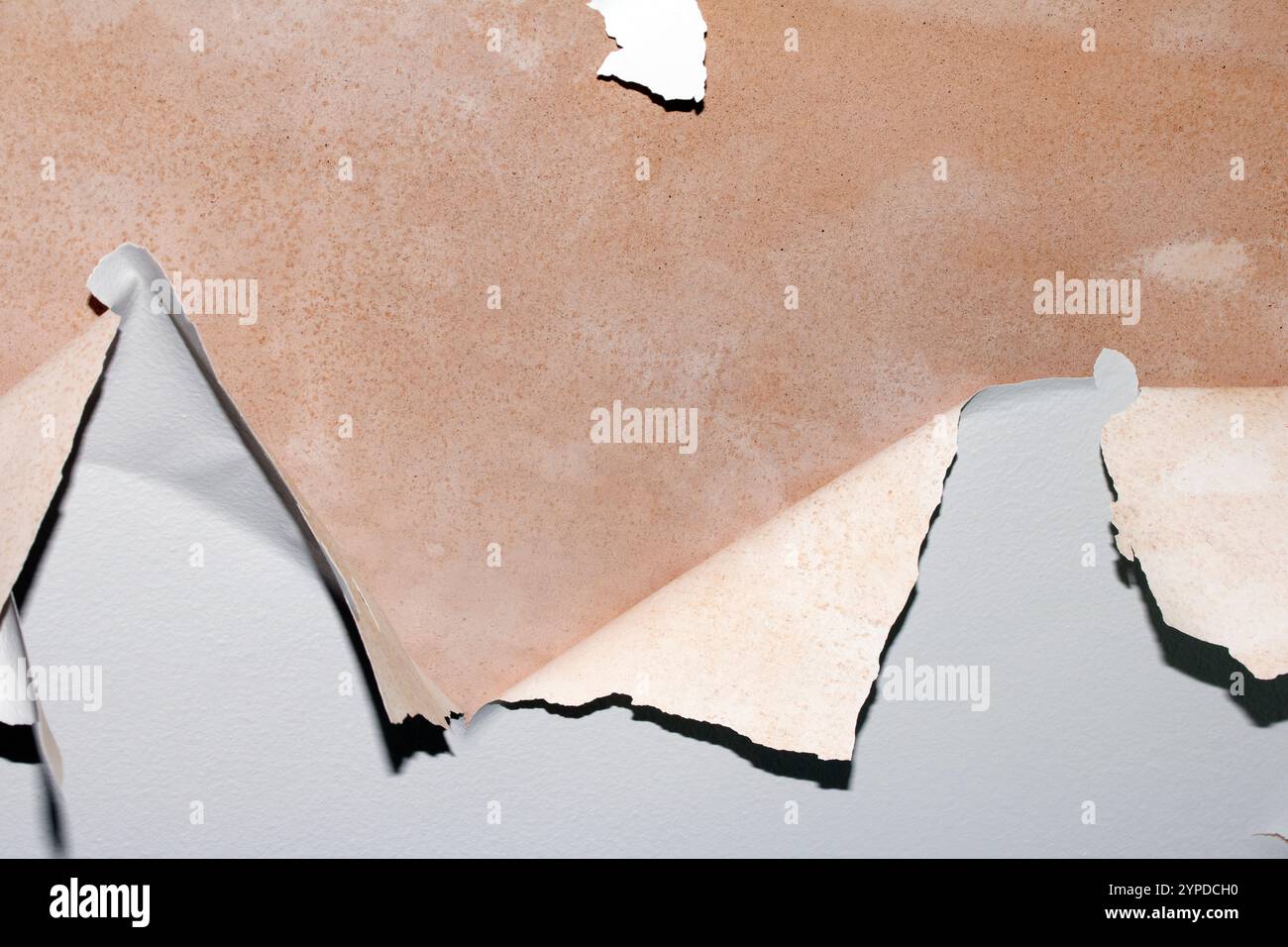 Peeling Damaged Flaking and Falling Down Paint on a Ceiling in a Damp ...