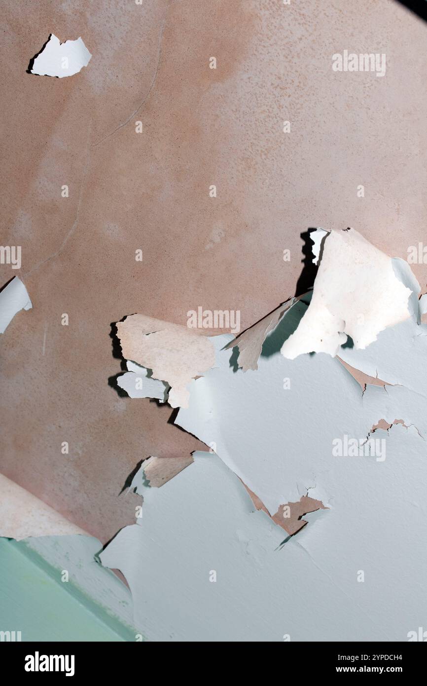 Peeling Damaged Flaking and Falling Down Paint on a Ceiling in a Damp ...
