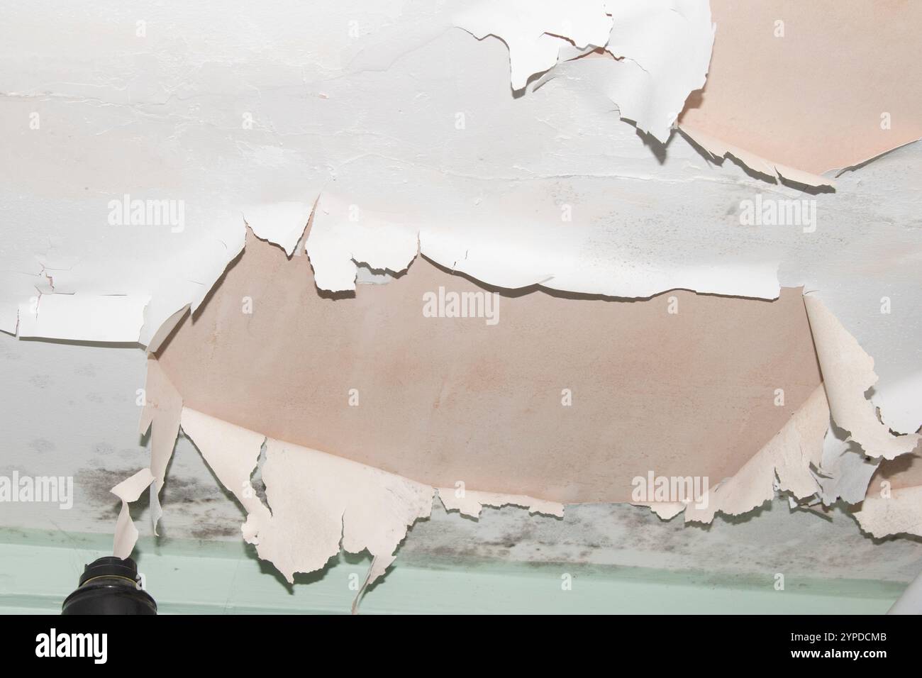 Peeling Damaged Flaking and Falling Down Paint on a Ceiling in a Damp ...