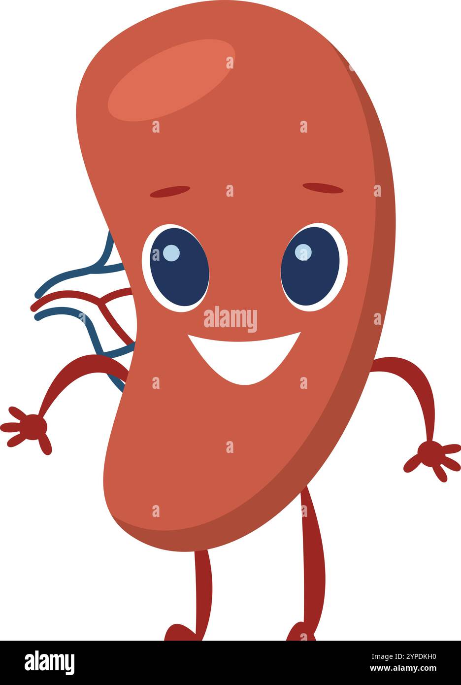 Cheerful cartoon spleen character promotes a healthy lifestyle ...