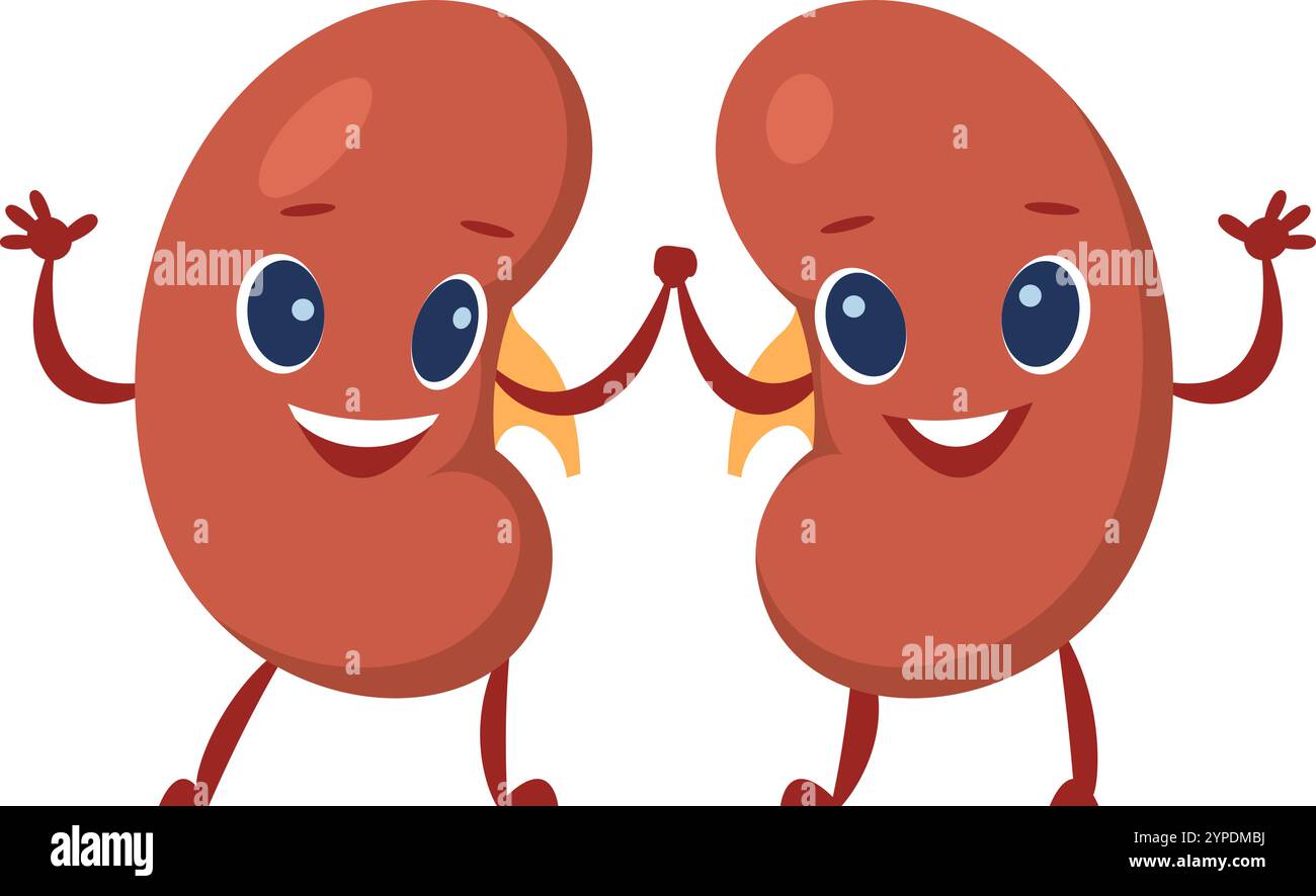 Two cheerful kidney characters promoting health and wellness by holding ...
