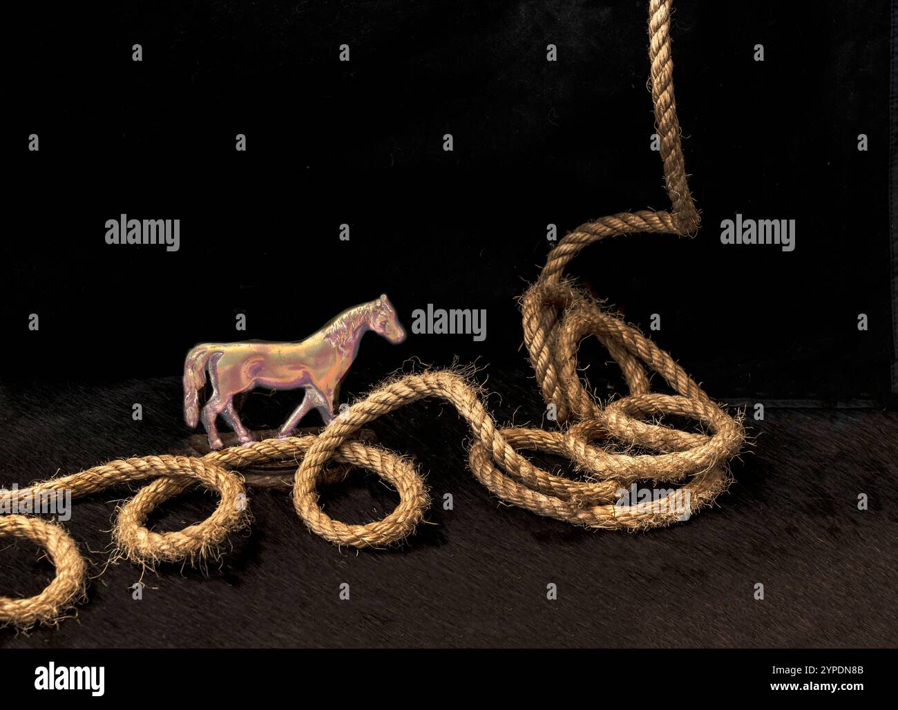 Horse roping on the ranch can be suggested by the heavy thick rope and ...