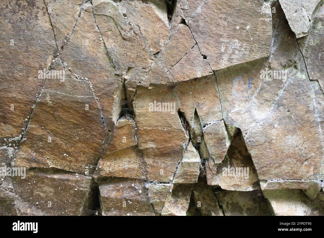 Textured nature background. A textured rocky surface reveals numerous ...