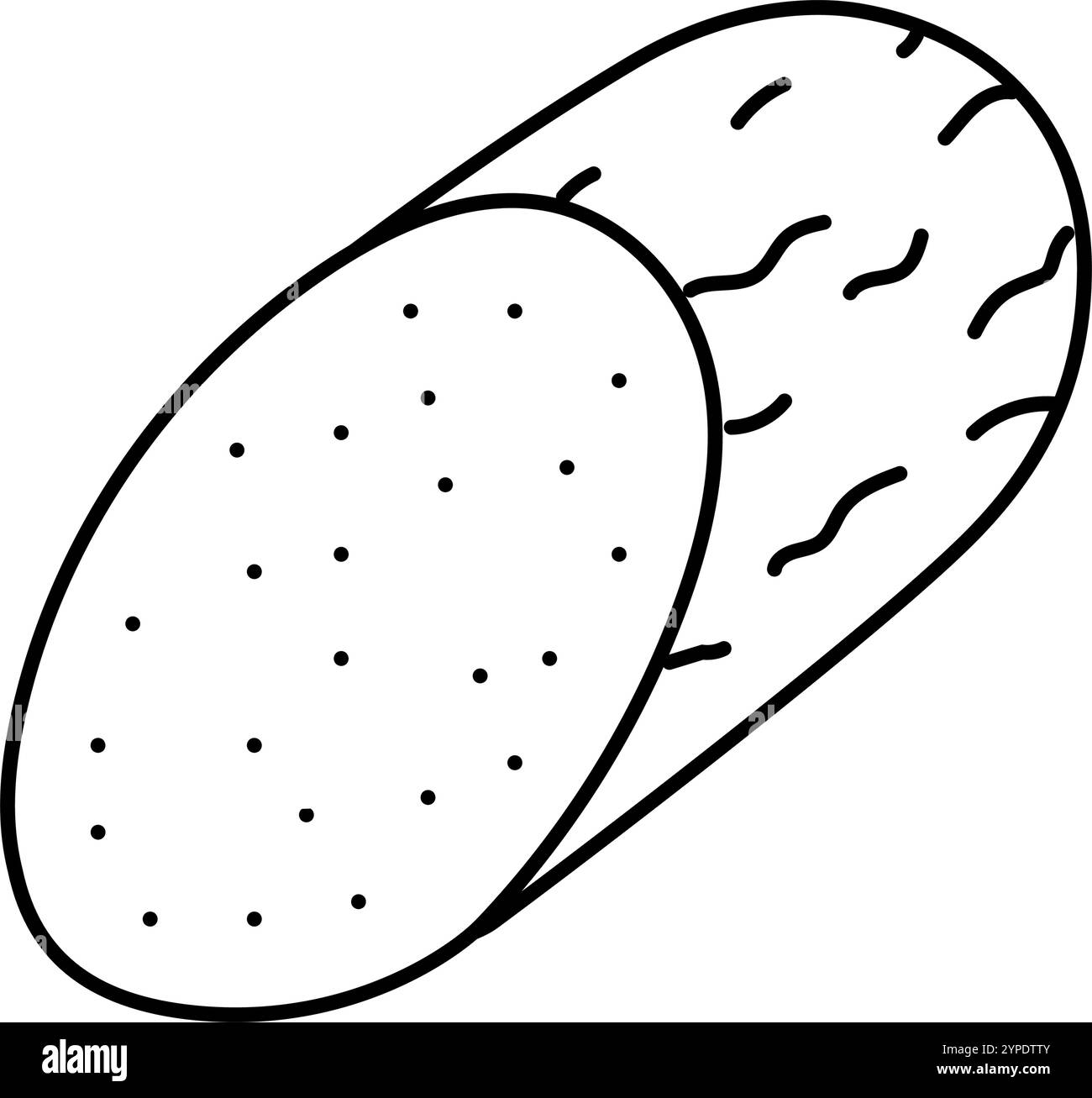 salami sausage meat line icon vector illustration Stock Vector Image ...