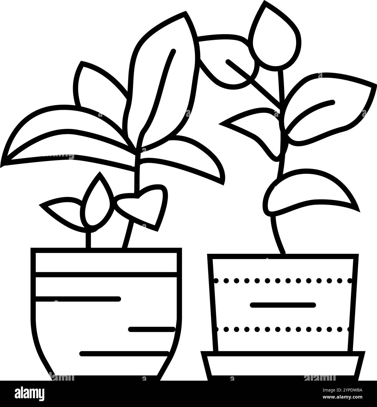 Indoor plants urban gardening Black and White Stock Photos & Images - Alamy