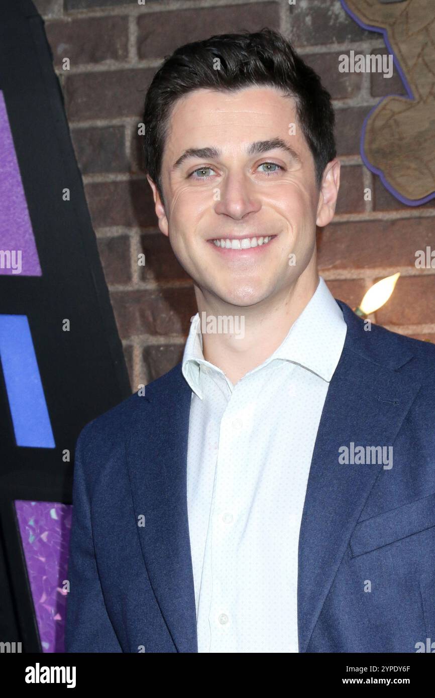 Wizards Beyond Waverly Place Premiere Red Carpet at the El Capitan ...