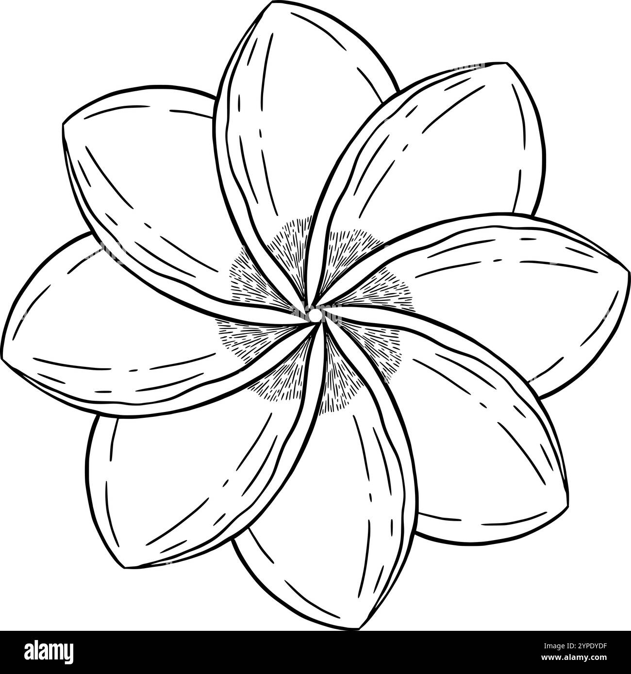 Charming detail Black and White Stock Photos & Images - Alamy