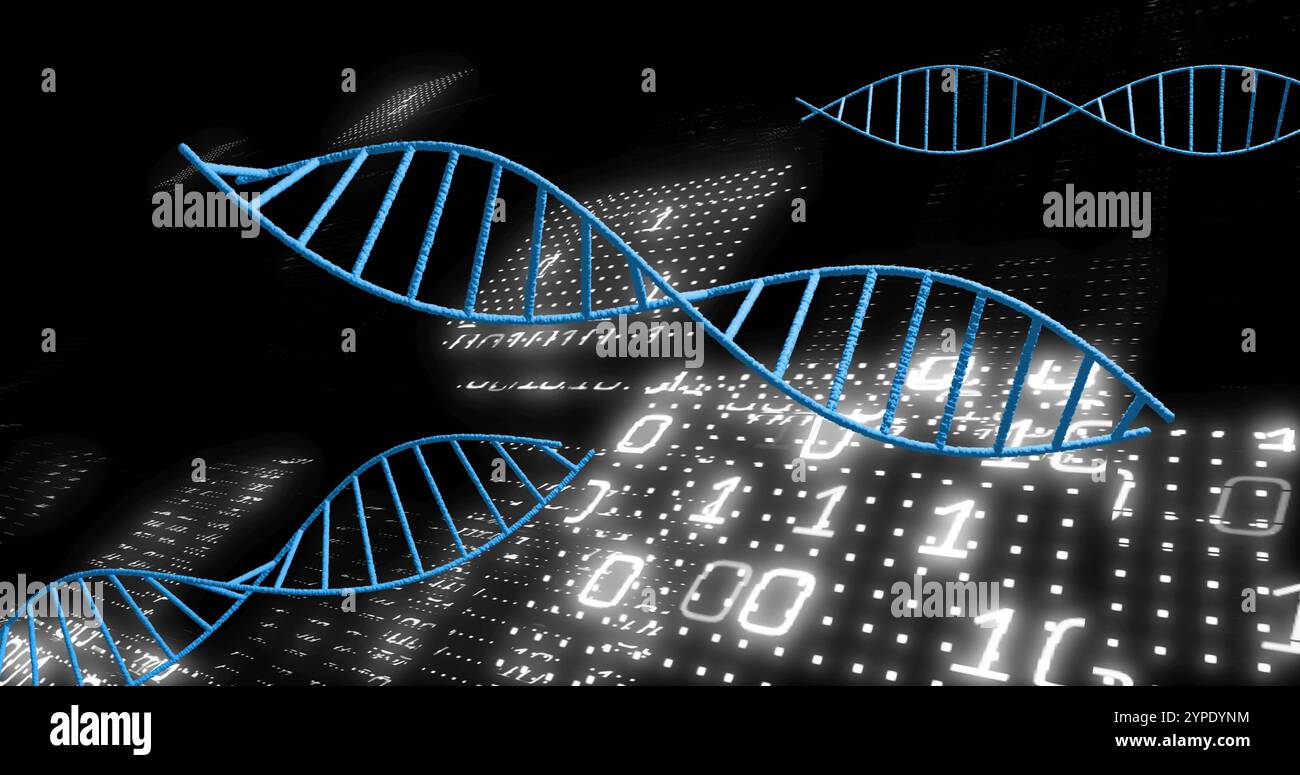 Dna strands binary coding processing hi-res stock photography and ...