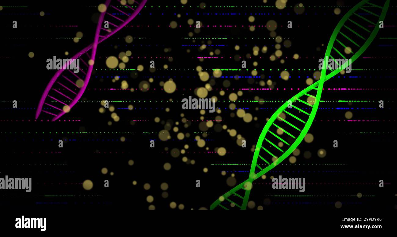 Dna research biotechnology genetic hi-res stock photography and images ...