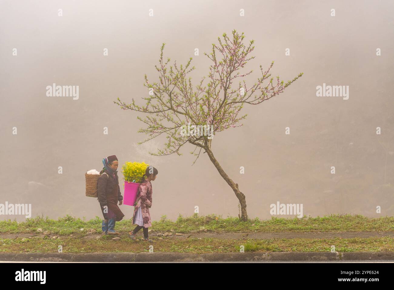 Ha Giang, Vietnam - January 15, 2024: Spring and the peaceful life of ...