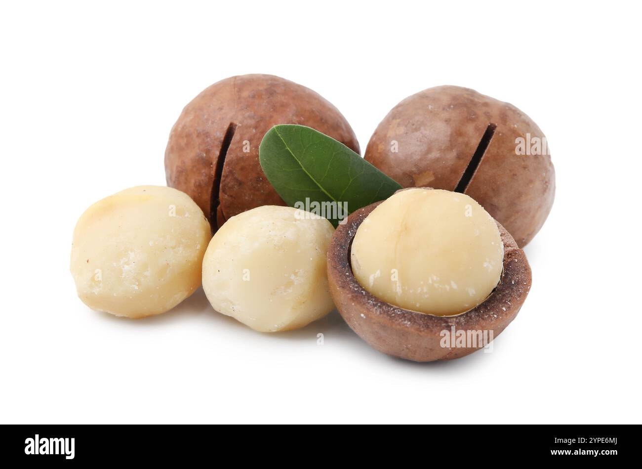 Macadamia nuts with shells isolated on white Stock Photo - Alamy