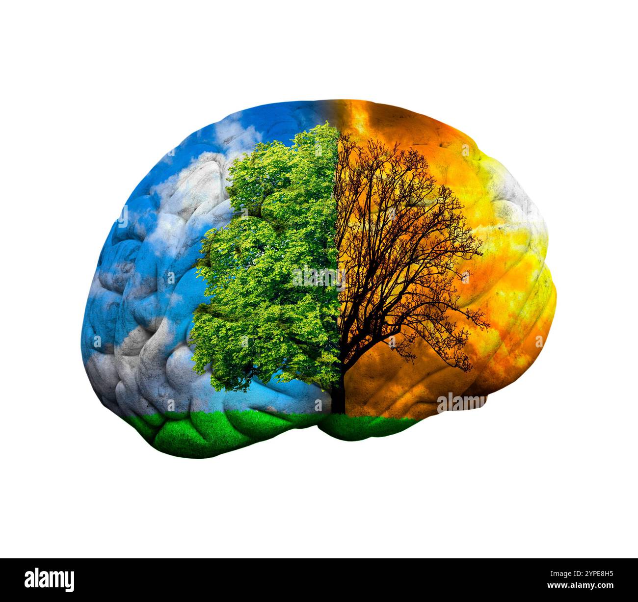 Environmental consciousness, conceptual illustration. The depiction of ...