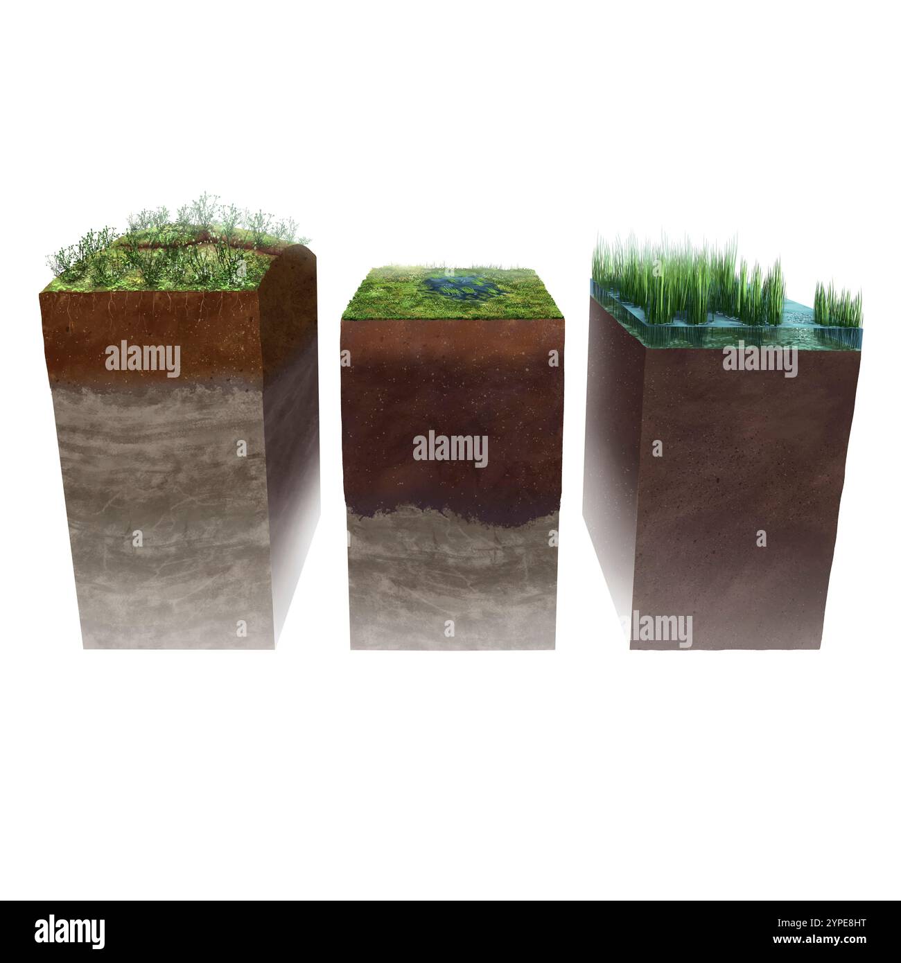 Soil profiles, illustration. Soil profile for palsa (left), bog (middle ...