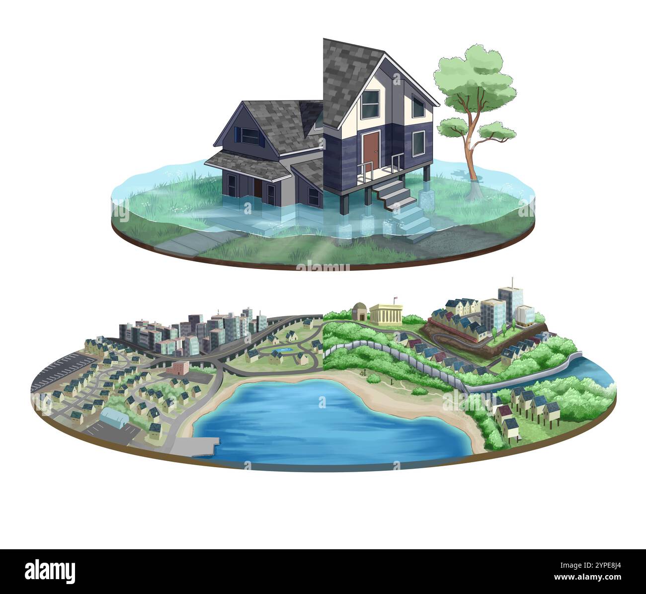 Adaptations adaptation Cut Out Stock Images & Pictures - Alamy