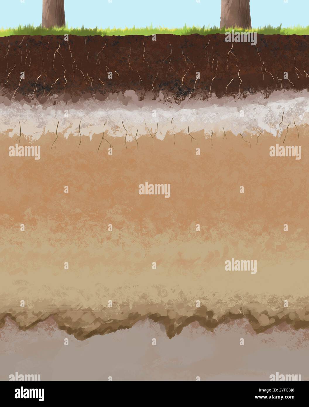 Boreal permafrost soil profile, illustration. Soil profile for boreal ...