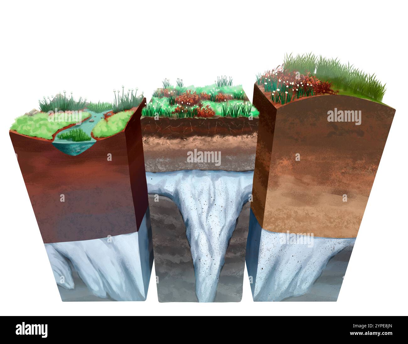 Permafrost soil profiles, illustration. Soil profiles with a permafrost ...