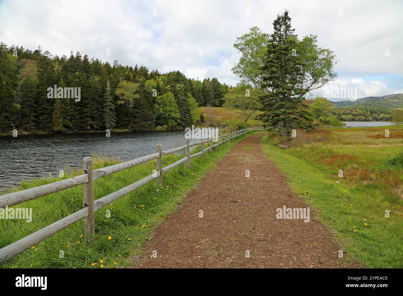 Idyllic trail on Little Long Pond - Acadia National Park, Maine Stock ...