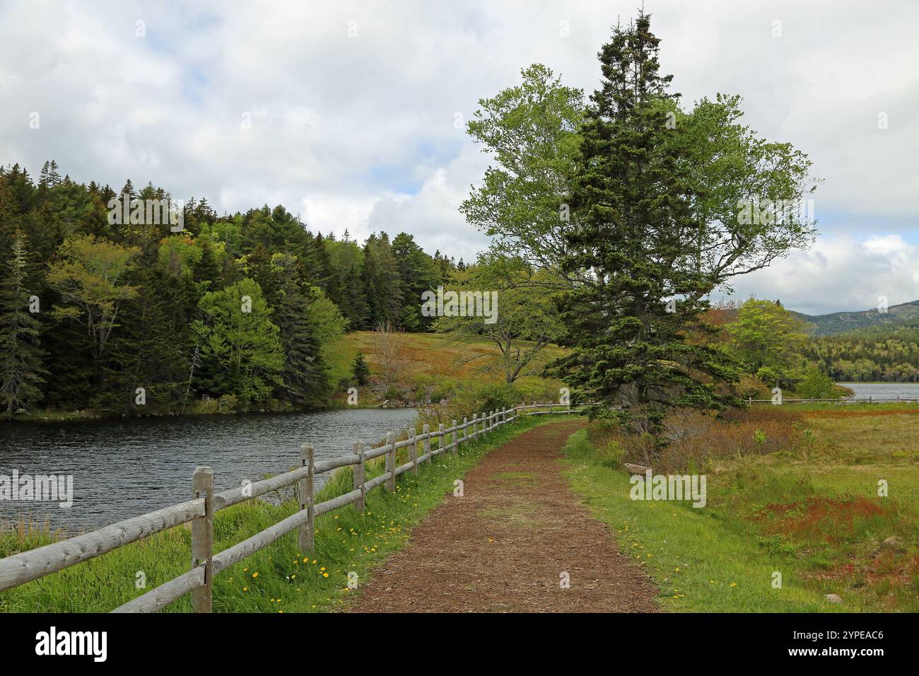 Spring scenery on Little Lond Pond - Acadia National Park, Maine Stock ...