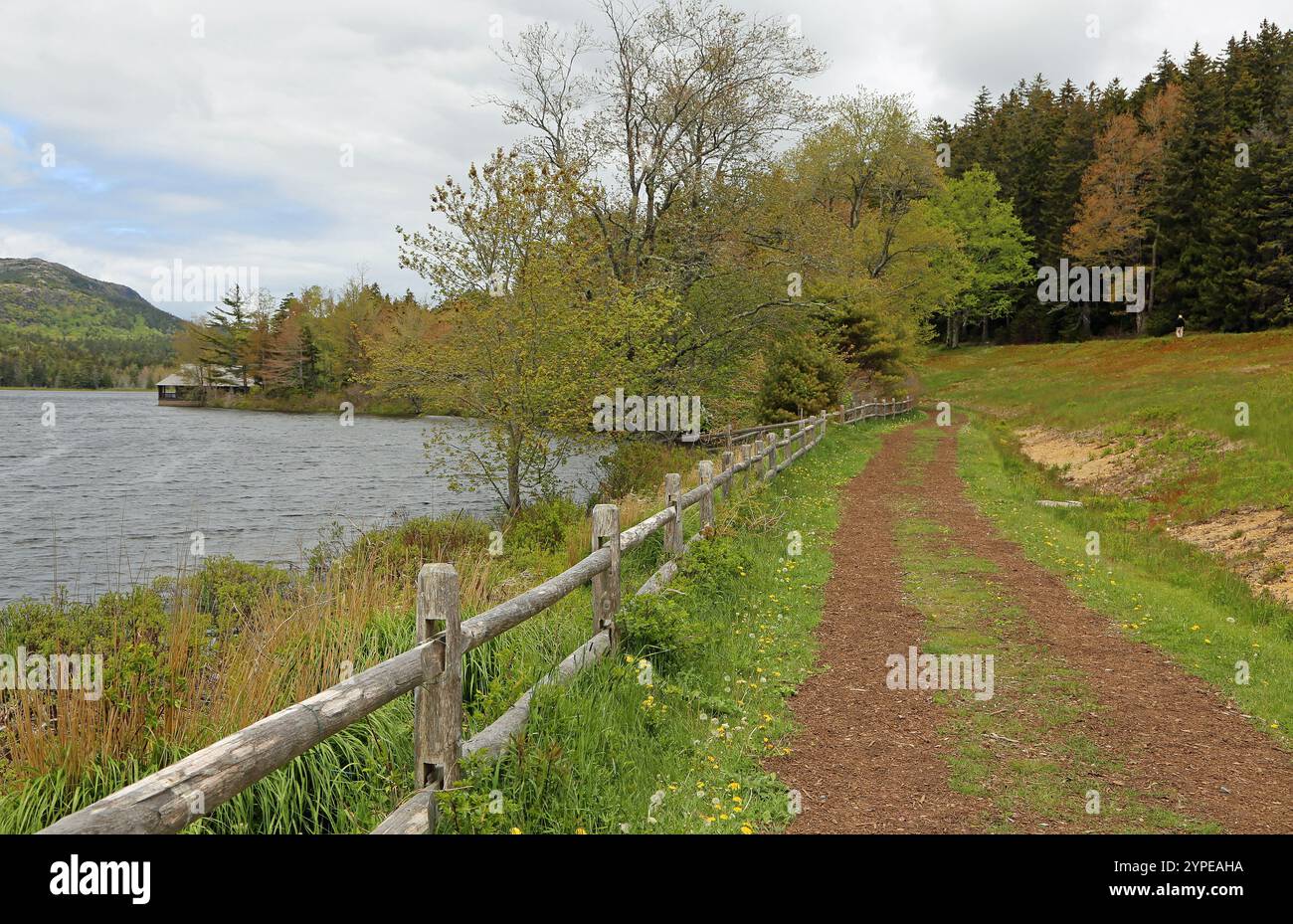 Road to kayak rental - Acadia National Park, Maine Stock Photo - Alamy