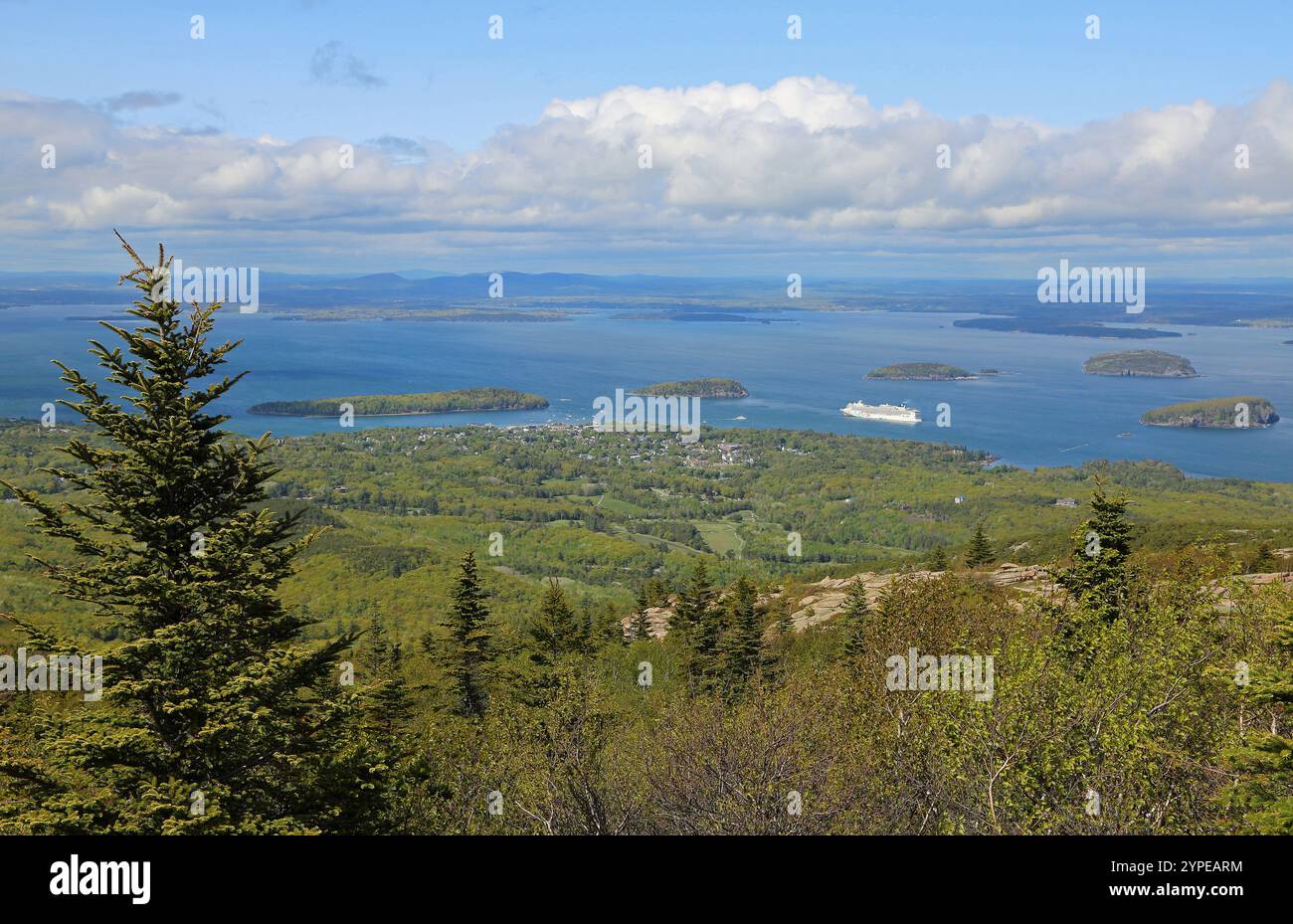 The tree and panorama - Cadillac Mountain, Acadia national Park, Maine ...