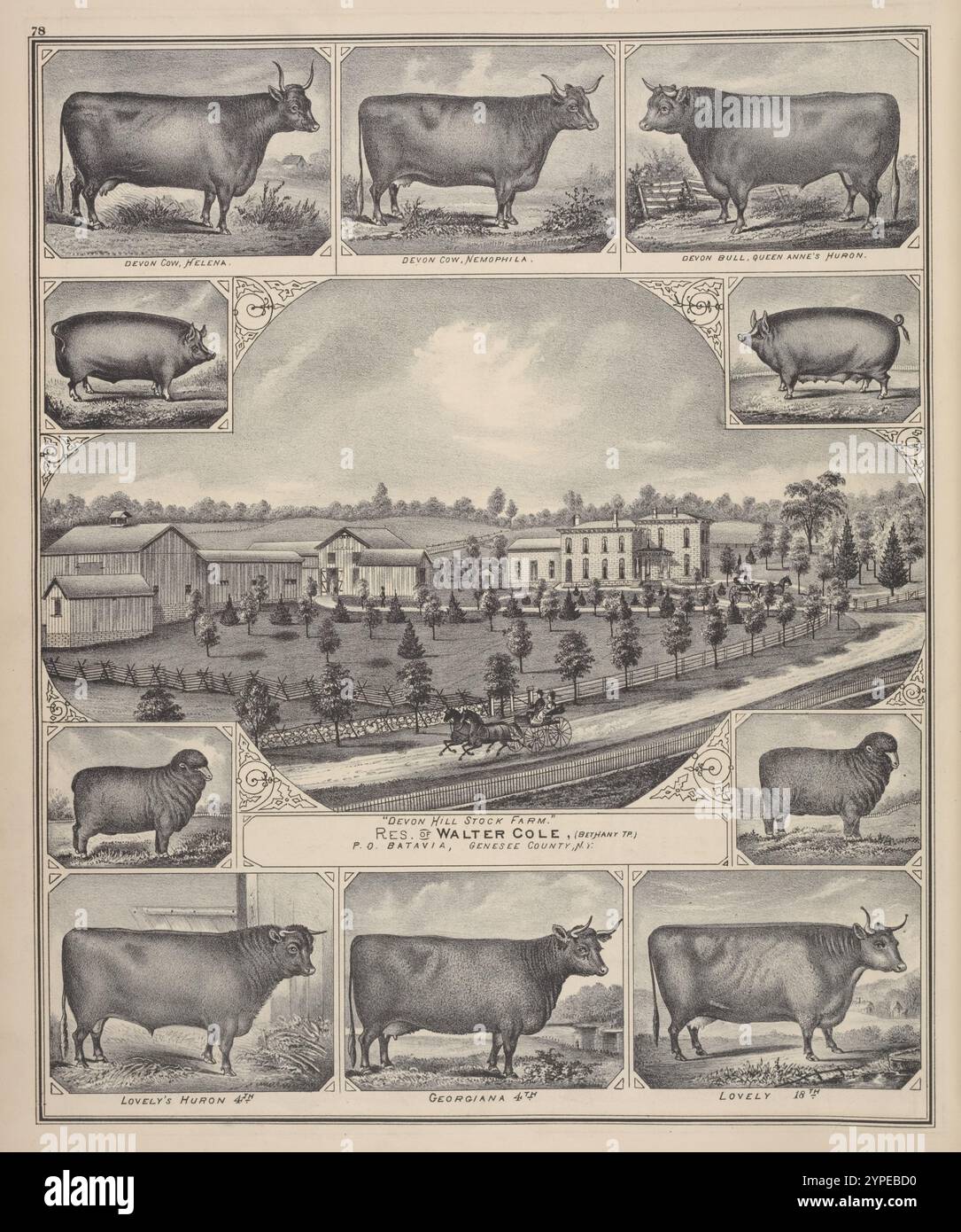 Georgiana 4th hi-res stock photography and images - Alamy