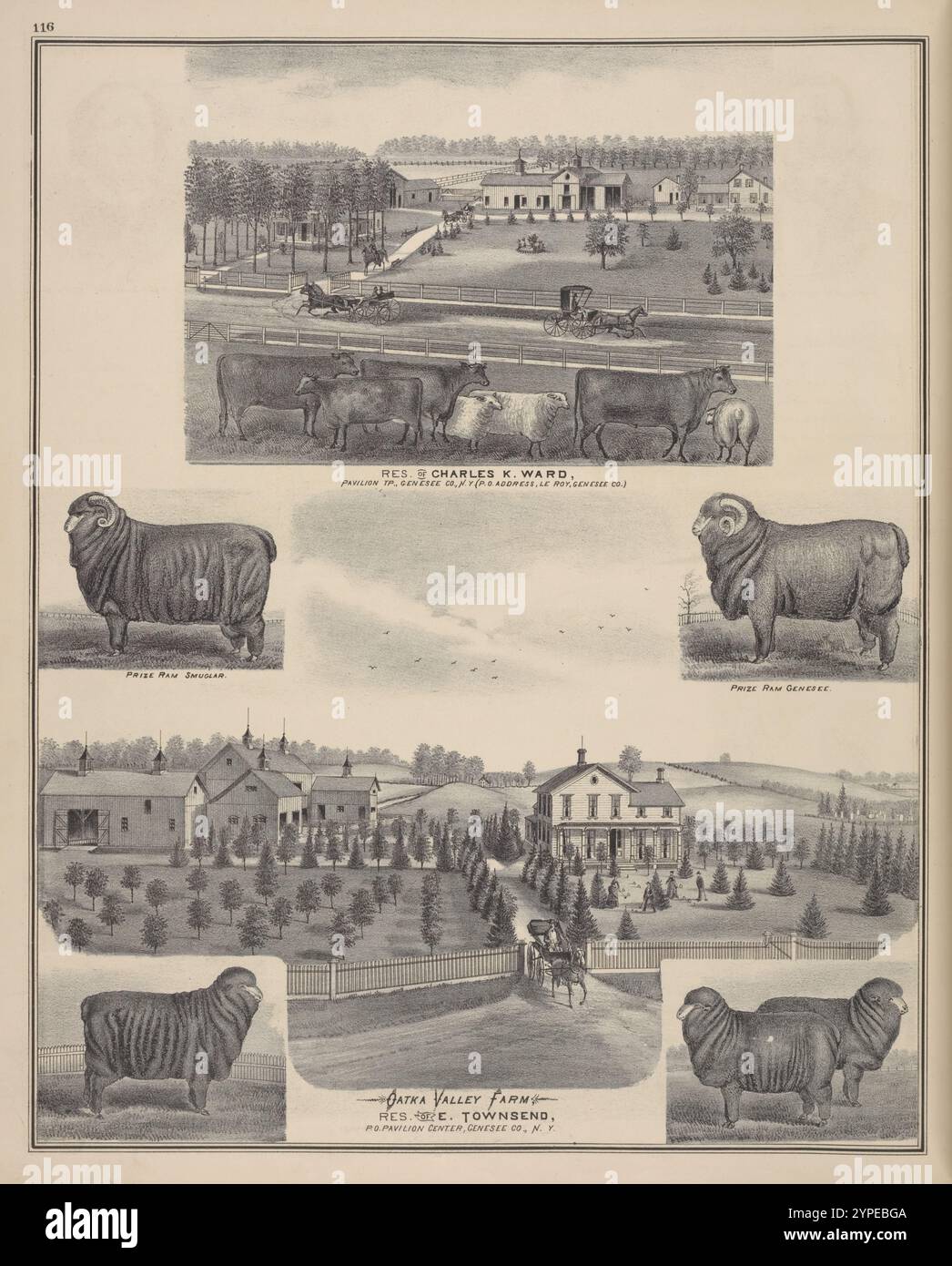 P o pavilion center hi-res stock photography and images - Alamy