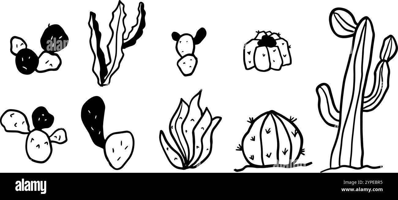 Cactus Hand-Drawn Set | Minimalist Doodle Vector for Desert and ...